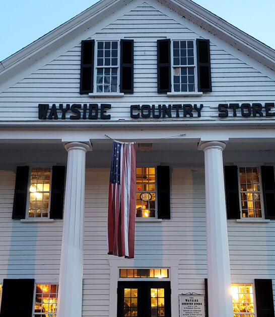 nostalgic candy store massachusetts ftr