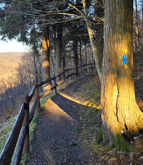 pennsylvania gorgeous state park ftr
