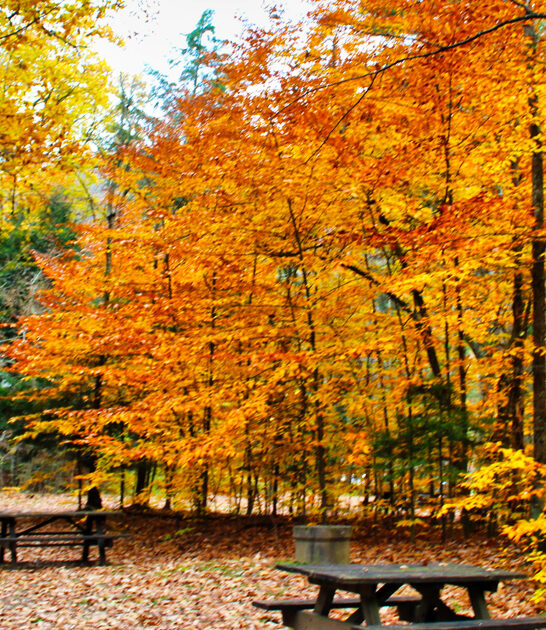 pennsylvania little known park ftr