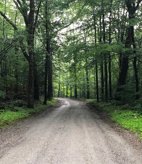 scenic connecticut state park ftr