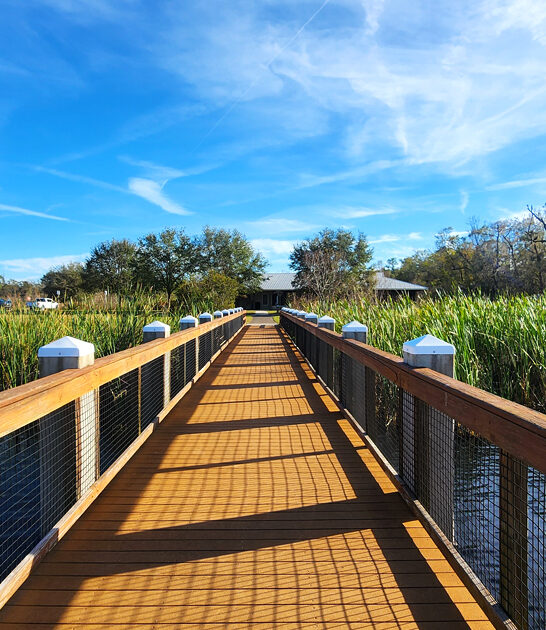 scenic florida state park ftr