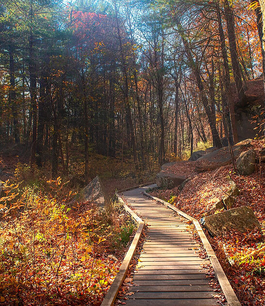 scenic massachusetts state park ftr