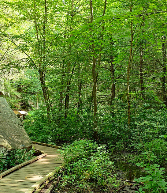 stunning state park massachusetts ftr