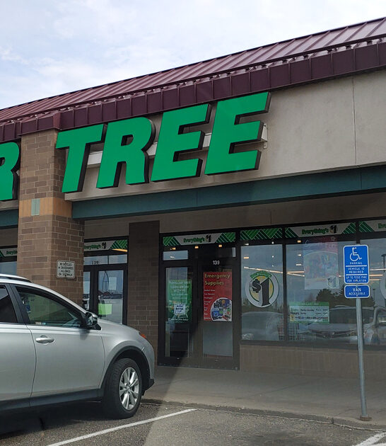 true dollar store minnesota ftr