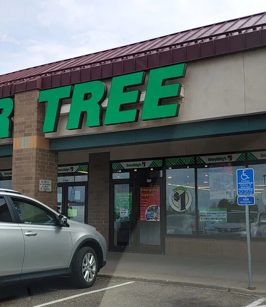 true dollar store minnesota ftr