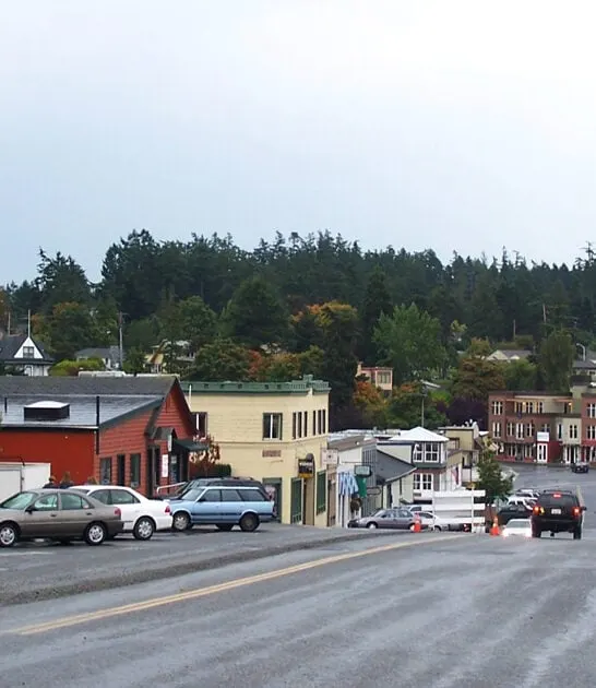 washington stress free town ftr