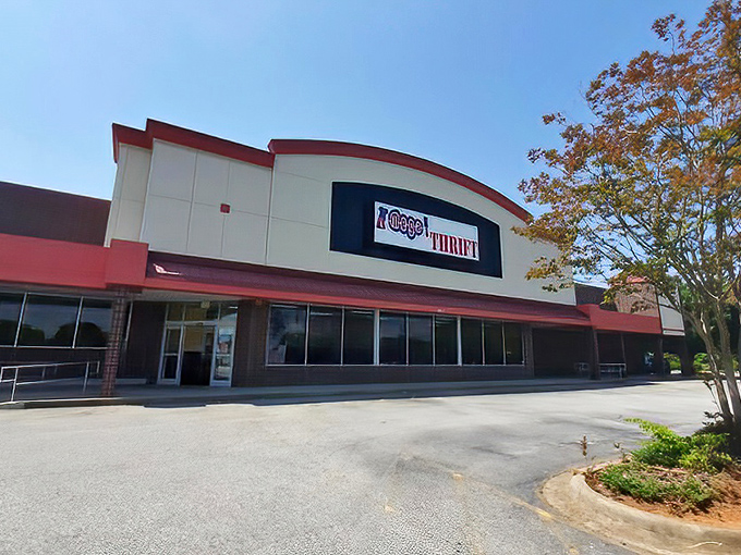 The unassuming exterior of Mega Thrift belies the treasure trove within—like finding out your quiet neighbor was secretly a rock star in the '70s.