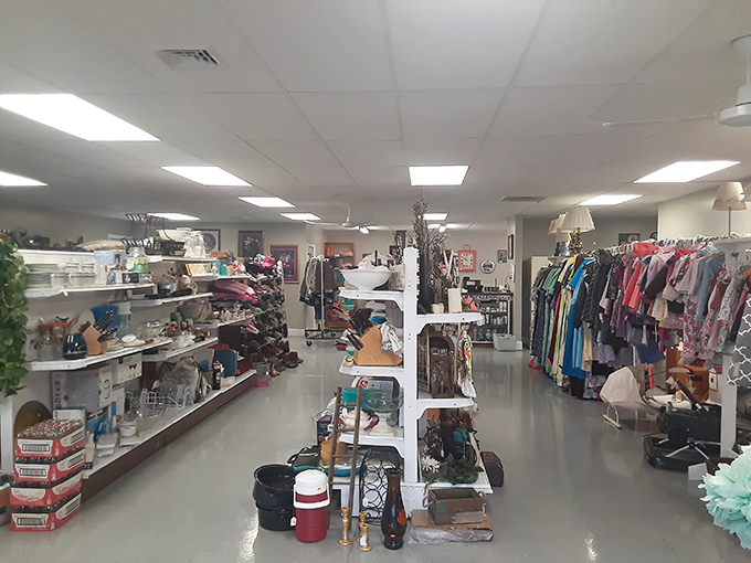 Step into treasure-hunting paradise! Twice But Nice's meticulously organized aisles promise discoveries that'll have you texting friends: "You won't believe what I just found!"