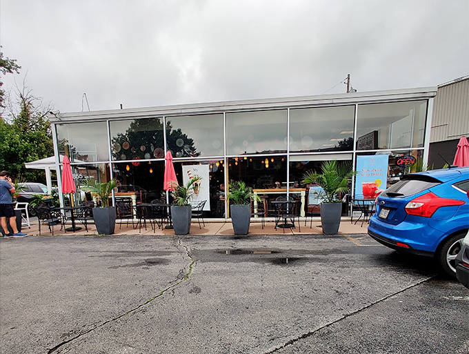 The unassuming exterior hides culinary treasures within. Those red umbrellas and potted plants aren't just decoration—they're your first clue you've found somewhere special.