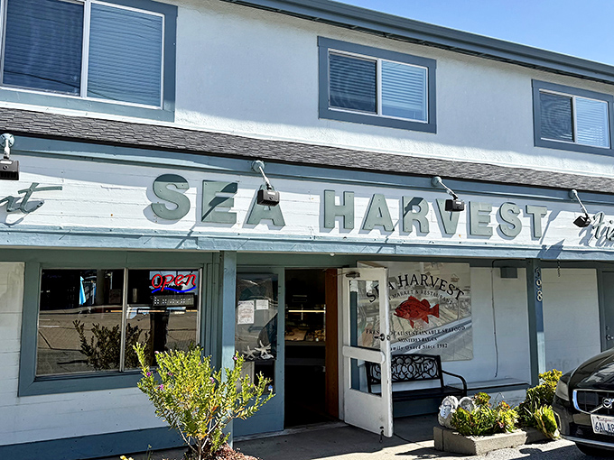 The unassuming exterior of Sea Harvest belies the oceanic treasures within. Like finding a pearl in an oyster, this Monterey gem awaits seafood lovers on aptly named Foam Street.