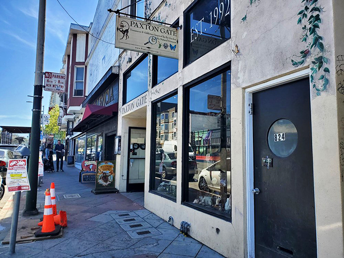 Paxton Gate's unassuming storefront on Valencia Street belies the wonderland of curiosities waiting inside. Natural history meets Victorian whimsy in San Francisco's Mission District.