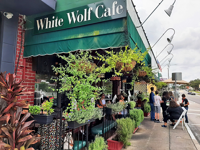 The distinctive green awning and coral exterior of White Wolf Cafe beckons like an oasis in Orlando's Ivanhoe Village, complete with a classical statue standing sentry.