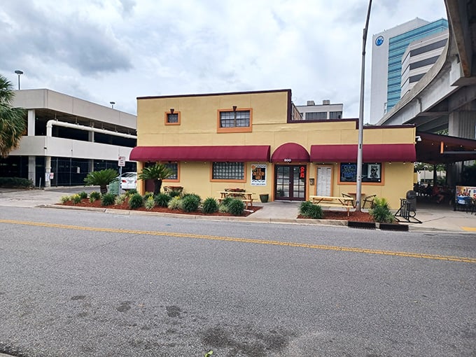 The unassuming yellow exterior with burgundy awnings stands like a culinary secret hiding in plain sight. Jacksonville's urban landscape provides the perfect backdrop for this neighborhood gem.