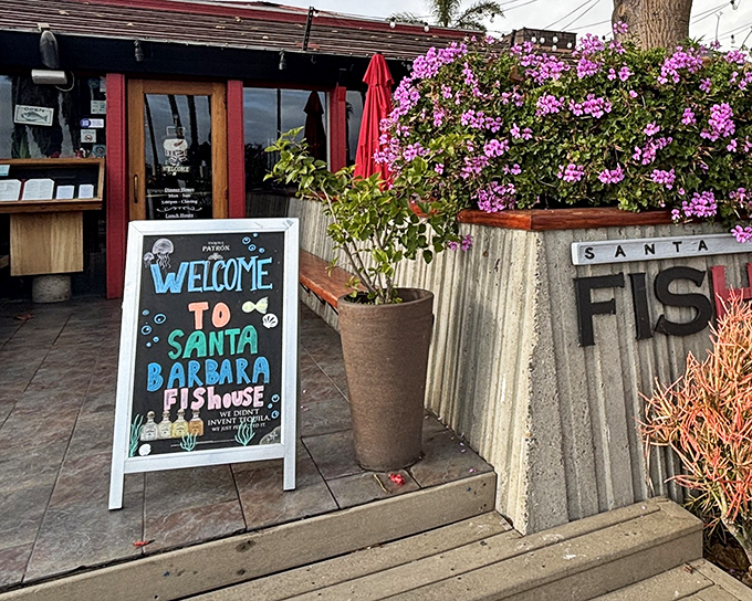 This weathered coastal charmer proves that the best seafood joints never need fancy facades to deliver extraordinary experiences.