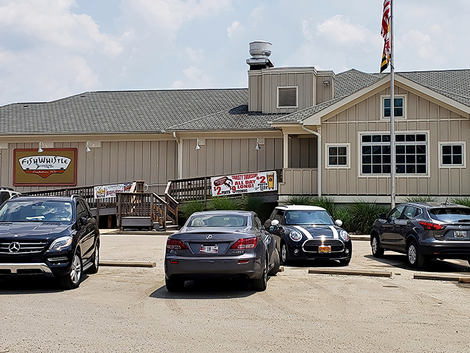 The unassuming exterior of Fish Whistle belies the culinary treasures within—like finding a pearl in the most ordinary-looking oyster. 