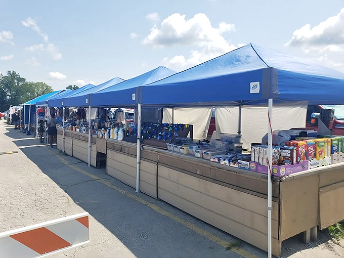 Blue canopies stretch toward the horizon like a bargain hunter's mirage, sheltering treasures both practical and peculiar beneath their protective shade.
