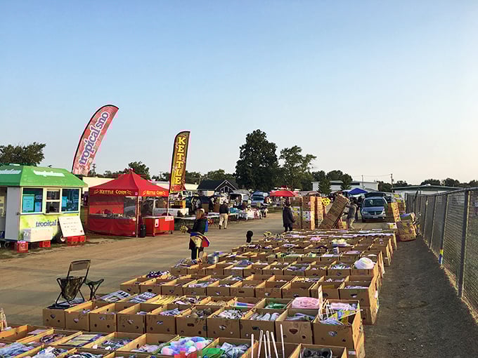 Treasure hunting begins at dawn! Rows of cardboard boxes filled with potential discoveries await early birds under colorful vendor flags.