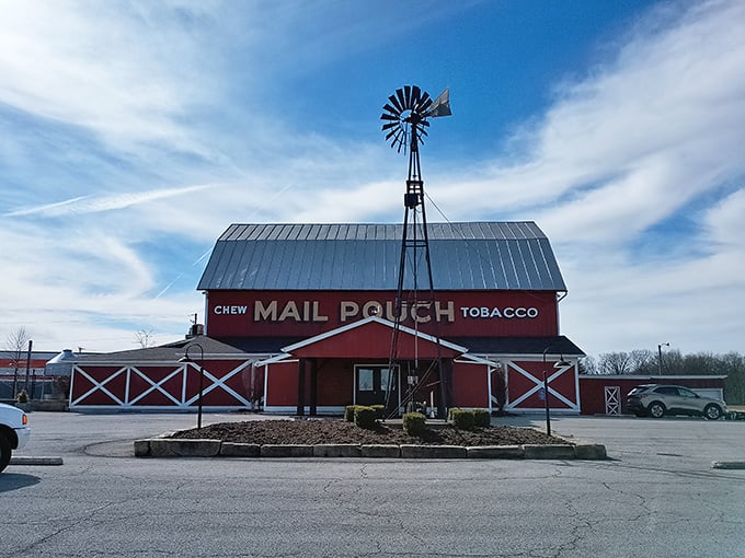 The iconic red barn exterior with its Mail Pouch Tobacco sign and spinning windmill isn't just Instagram-worthy—it's a promise of authentic Midwestern flavor waiting inside.