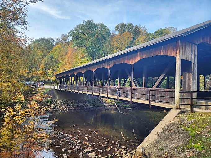 Nature's own staircase – this hidden waterfall and rustic footbridge create the perfect "am I still in Ohio?" moment that makes Mohican magical.