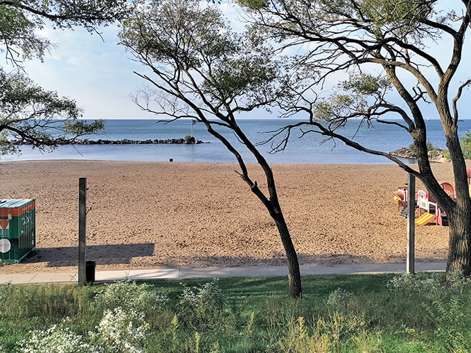 The golden sands of Lakeview Park stretch toward Lake Erie's horizon, framed by nature's own artwork of twisted trees and blue skies.