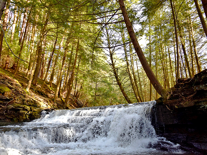 Nature's own staircase of cascading water. This tiered waterfall at Salt Springs creates the kind of tranquility that makes you forget your phone exists.