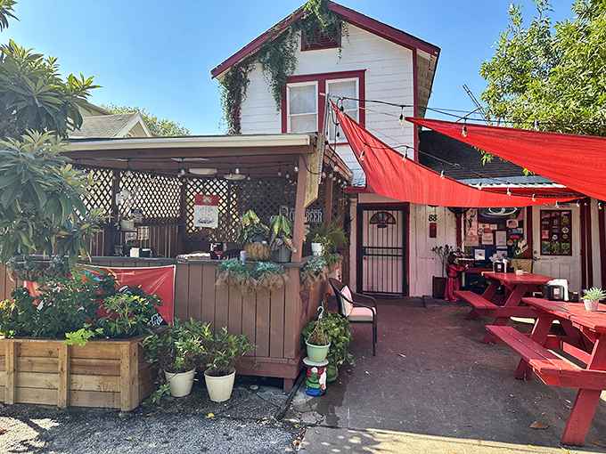 The iconic red picnic tables at Lankford's beckon like a burger siren song under the watchful gaze of that magnificent shade tree.
