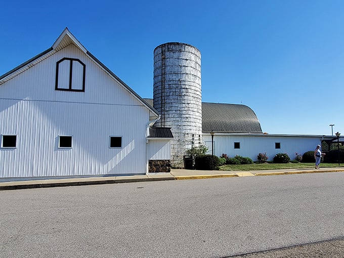 Not just any barn – this iconic white structure with its towering silo stands as a beacon for hungry travelers across Ohio's Amish Country.