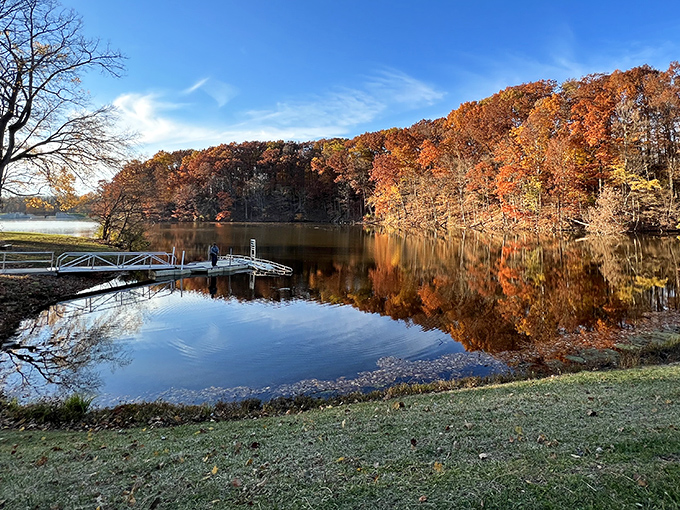 Nature's perfect mirror act – Mt. Gilead's lake reflects autumn foliage with such precision you'll wonder which side is the real show.