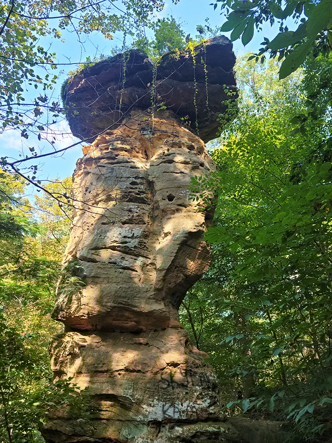Nature's own impossible balancing act stands defying gravity for your Instagram-worthy moment of geological wonder.