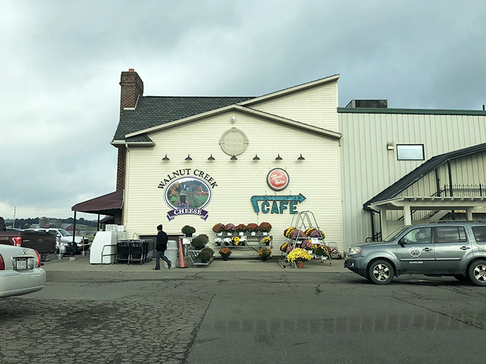 The unassuming exterior of Walnut Creek Cheese belies the wonderland within—like finding Narnia in Ohio's Amish Country.
