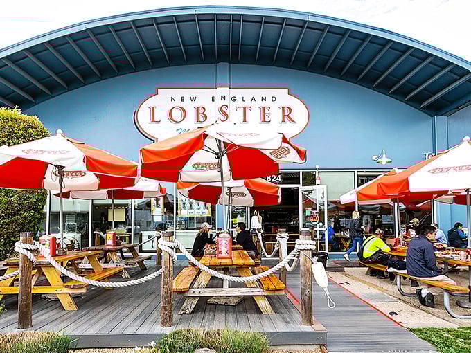 The blue building with vibrant red umbrellas isn't trying to be subtle – it's proudly announcing that your lobster fantasies are about to come true.