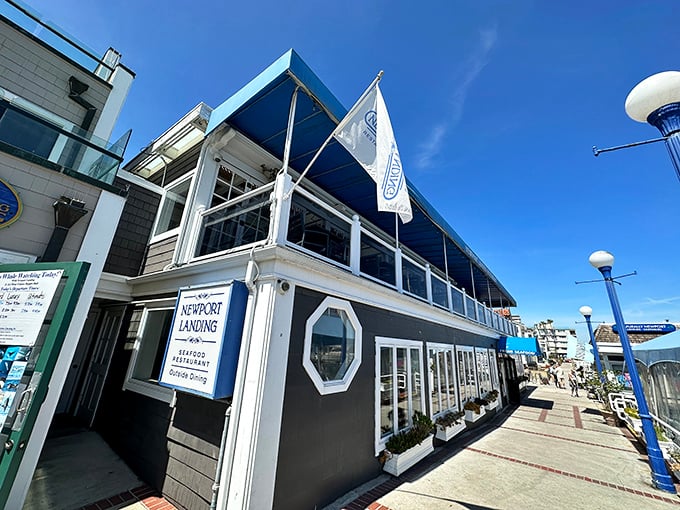Newport Landing's blue-trimmed exterior stands like a maritime sentinel on the harbor, promising seafood treasures within those nautical-themed walls.