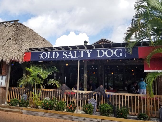 The thatched roof and weathered sign aren't just Florida kitsch—they're promises of the authentic coastal experience waiting inside this Siesta Key institution.