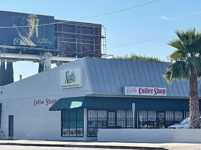 The unpretentious green awning says it all—real food awaits inside, no Instagram filters required. Like finding a $20 bill in your winter coat pocket.