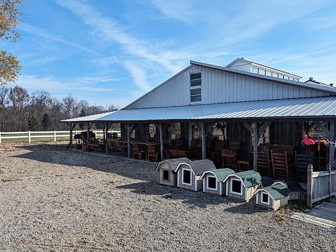 Rainbow warriors standing at attention! These vibrant Adirondack chairs aren't just furniture—they're mood-enhancing therapy sessions waiting to happen in your backyard.