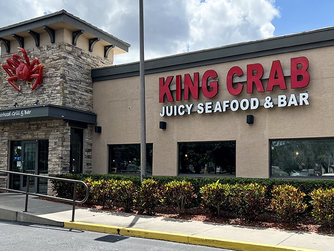 The giant red crab perched on stone might as well be waving you in—nature's own maître d' promising oceanic delights within.