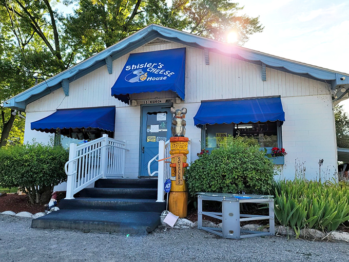 The little white building with bright blue awnings isn't trying to impress anyone—until you taste what's inside. Ohio's cheese paradise hiding in plain sight.