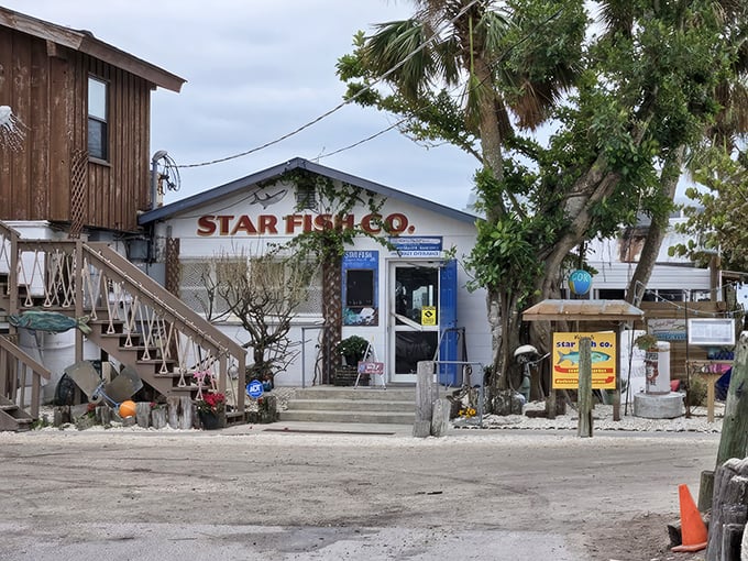 The unassuming entrance to seafood paradise – where that bright blue door might as well be a portal to flavor country. 