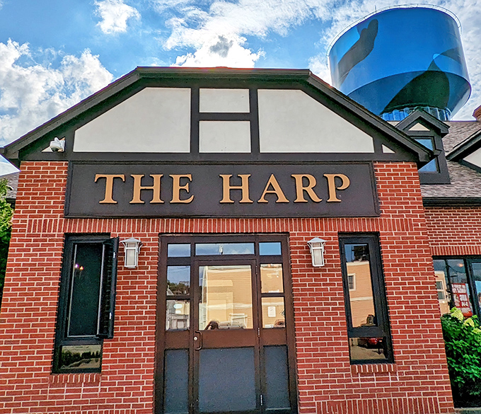 The Tudor-style façade of The Harp promises Irish charm before you even step inside. That iconic sign might as well say "Welcome Home."