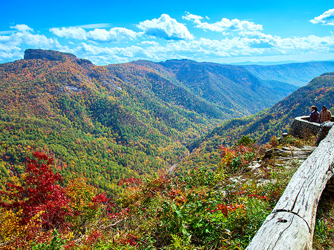 Nature's grand theater unfolds at Wiseman's View, where the Linville Gorge stretches before you like a living landscape painting.