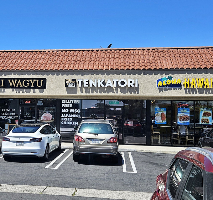 Tucked between neighbors in a Costa Mesa strip mall, Tenkatori's modest storefront hides culinary treasures that would make even the most jaded food critic weep with joy.