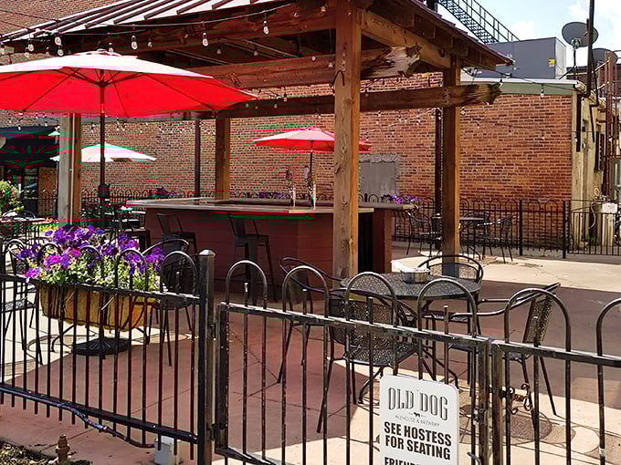 The vintage Coca-Cola sign paired with Old Dog's rustic wooden signage feels like stumbling upon a secret clubhouse for food lovers. The red umbrellas beckon like old friends.