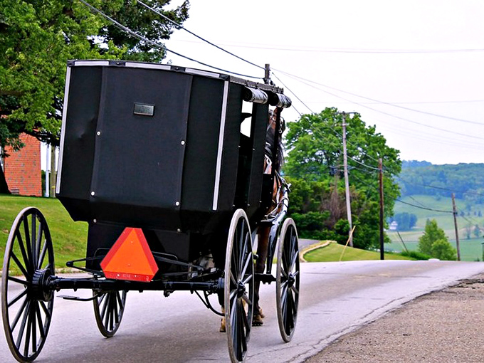 The iconic Amish buggy – where the pace of life is measured in hoofbeats rather than horsepower. A reminder that sometimes the scenic route is the only one worth taking.