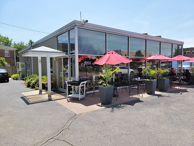 The unassuming exterior hides culinary treasures within. Those red umbrellas and potted plants aren't just decoration—they're your first clue you've found somewhere special.