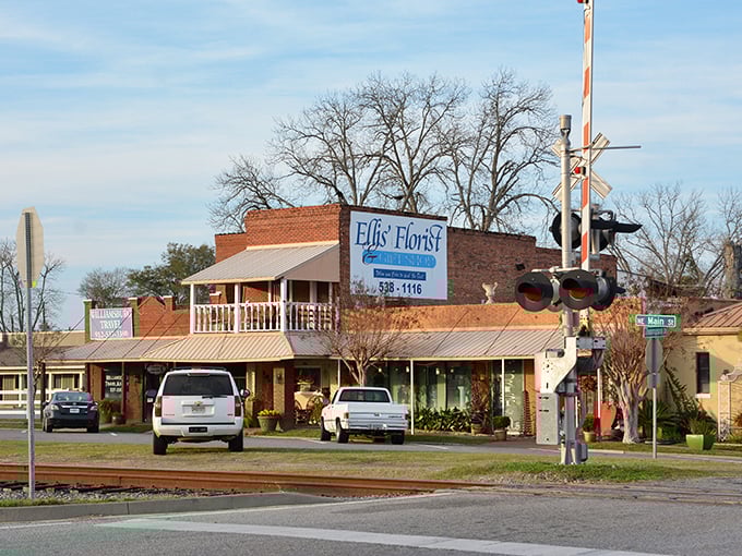 Downtown Vidalia's brick storefronts and railway crossing create that perfect small-town tableau where your wallet breathes easier and locals still wave from their trucks.