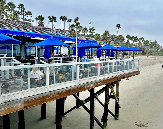 Perched majestically on San Clemente Pier, Fisherman's Restaurant is basically what heaven would look like if angels were really into fresh seafood and ocean views.