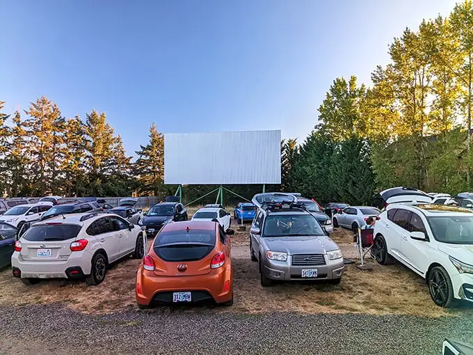 From above, the 99W Drive-In resembles a living museum of Americana—cars arranged in perfect rows facing that iconic white screen, waiting for dusk's cinematic magic.