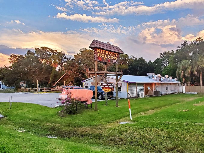 The pink pig sentinel guards culinary treasures at Hickory Hollow, where Florida sunsets and Southern cooking create magic worth discovering.