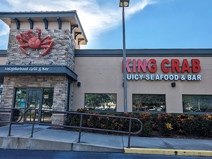The giant red crab perched on stone might as well be waving you in—nature's own maître d' promising oceanic delights within.