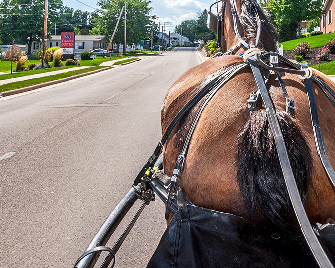 Main Street simplicity with a side of charm – Berlin's unassuming thoroughfare hides culinary treasures that would make metropolitan food critics book a one-way ticket to Holmes County.